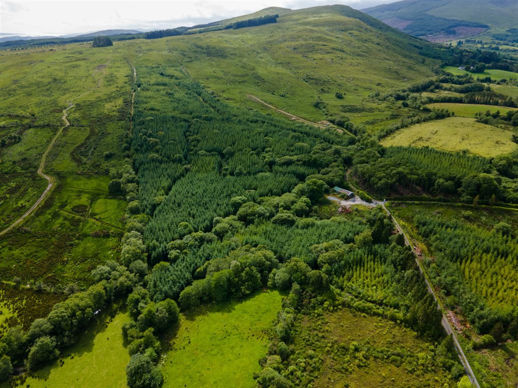 Drinagh, Kilgarvan, Co. Kerry - DNG Timothy O'Sullivan - 4651121 ...