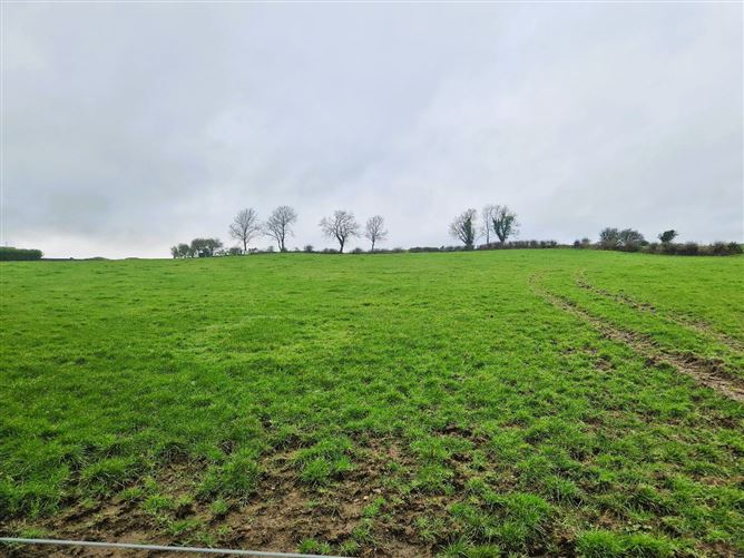 Commercial property for sale in Ireland - MyHome.ie