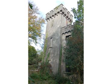 Laragh Castle, Laragh, Co. Wicklow MyHome.ie Residential