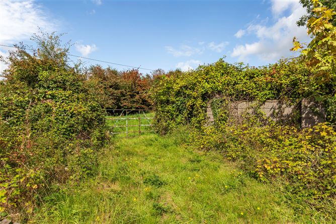 Tinnock, Campile, New Ross, Co. Wexford - Sherry FitzGerald Radford ...