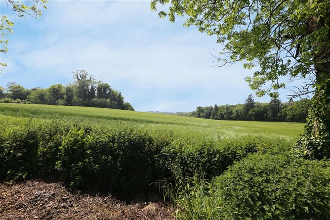 Mosstown, Dunleer, Co. Louth - Sherry FitzGerald Lannon - 4800585 ...