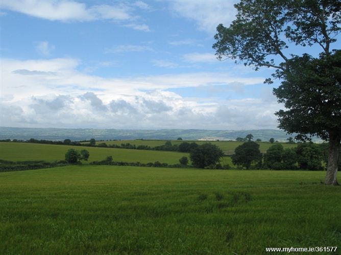 67 Acres, Ballyryan, Nurney, Co. Carlow - Jordan Town and Country ...