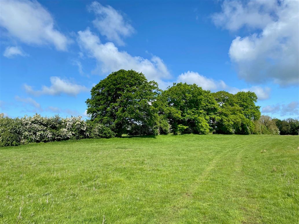 Cooltown House on c. 143 Acres, Enfield, Meath - Jordan Town and ...