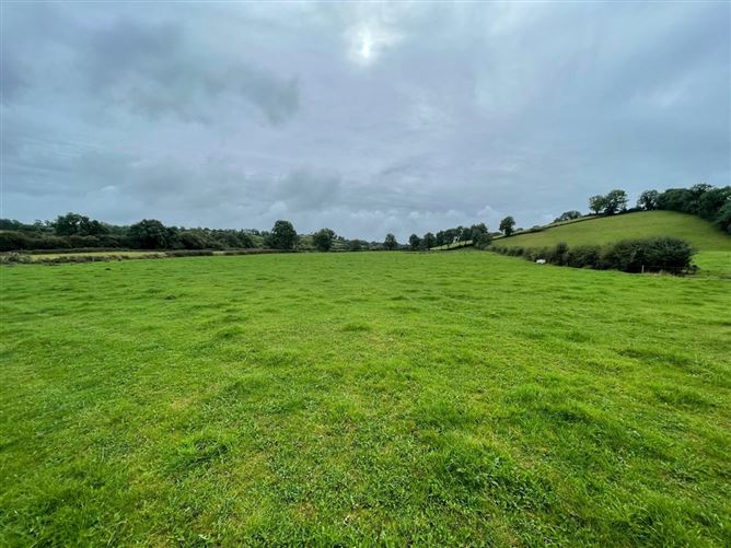 Lands At Clerran, Castleshane, Co. Monaghan - Sherry FitzGerald Conor ...