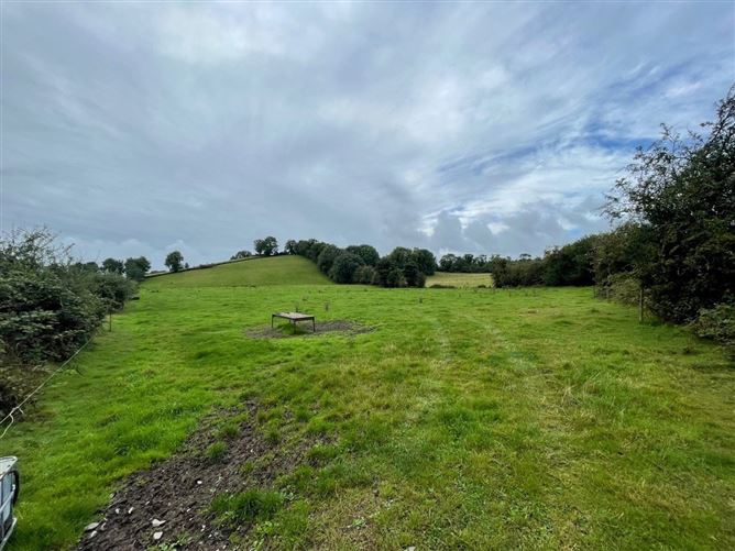 Lands At Clerran, Castleshane, Co. Monaghan - Sherry FitzGerald Conor ...